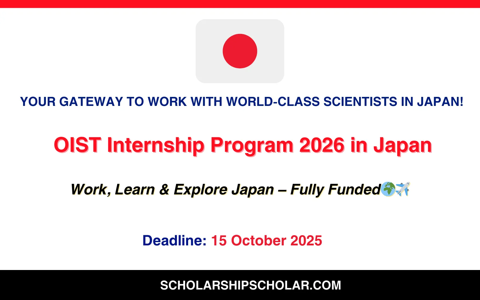 OIST Internship Program 2026 In Japan | Fully Funded Research Opportunity - Scholarshipscholar
